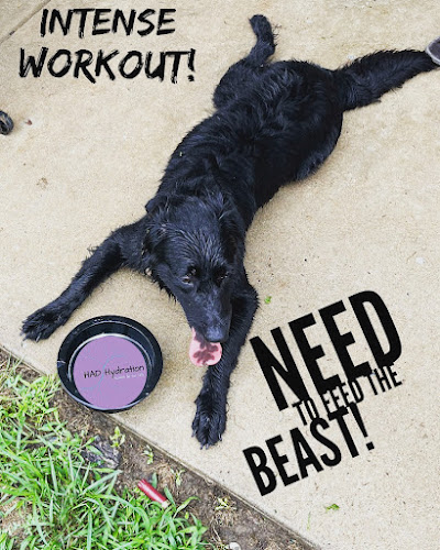 HAD Hydration - IV Therapy Zone